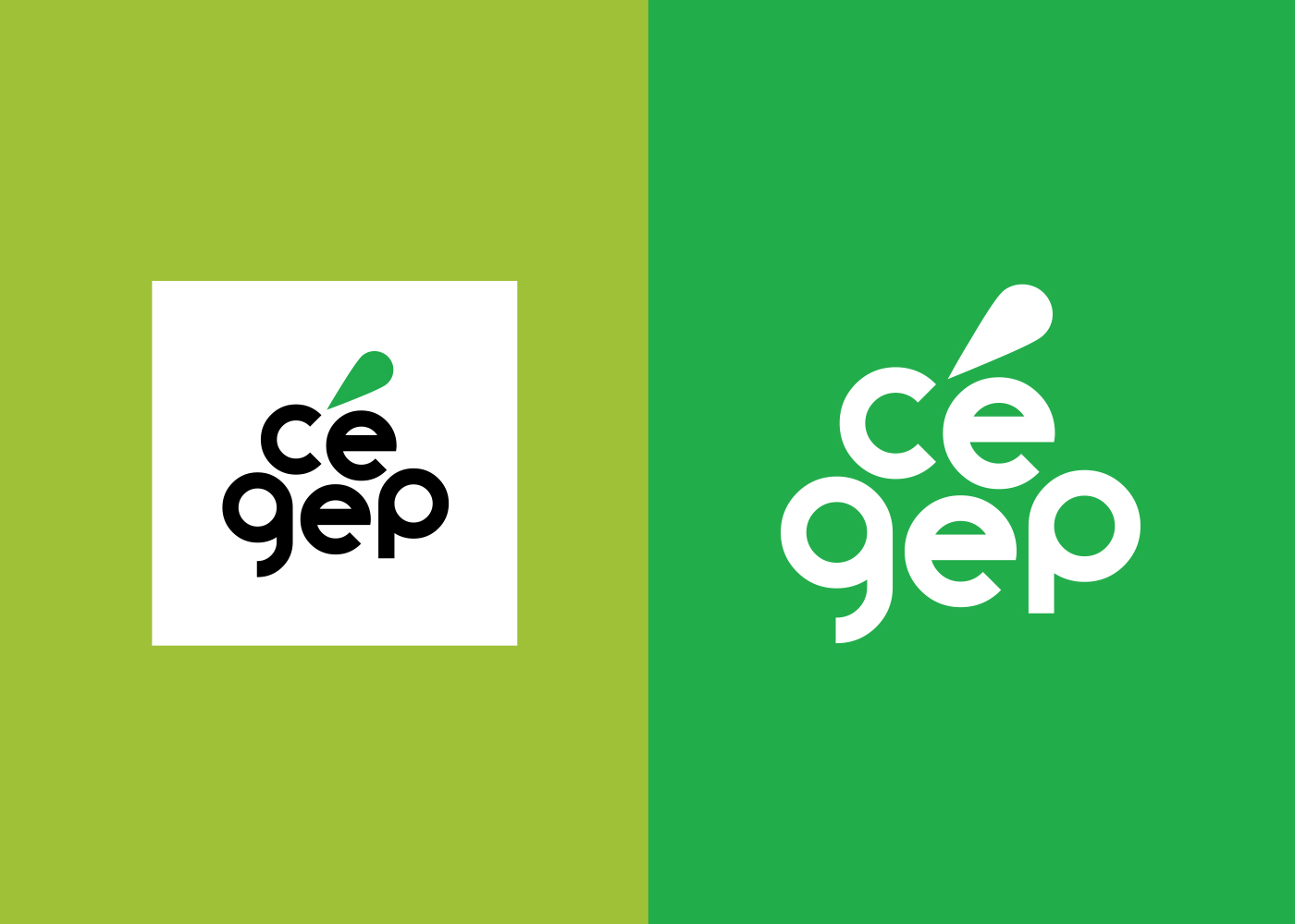 La Fédération des cégeps s’offre une nouvelle identité de marque signée ...