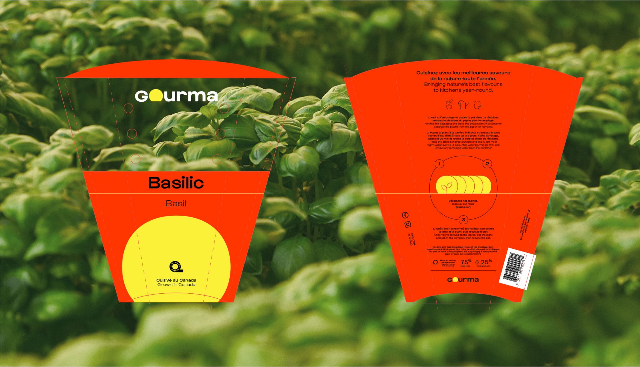 Les herbes gourmandes deviennent Gourma : une nouvelle identité signée ...