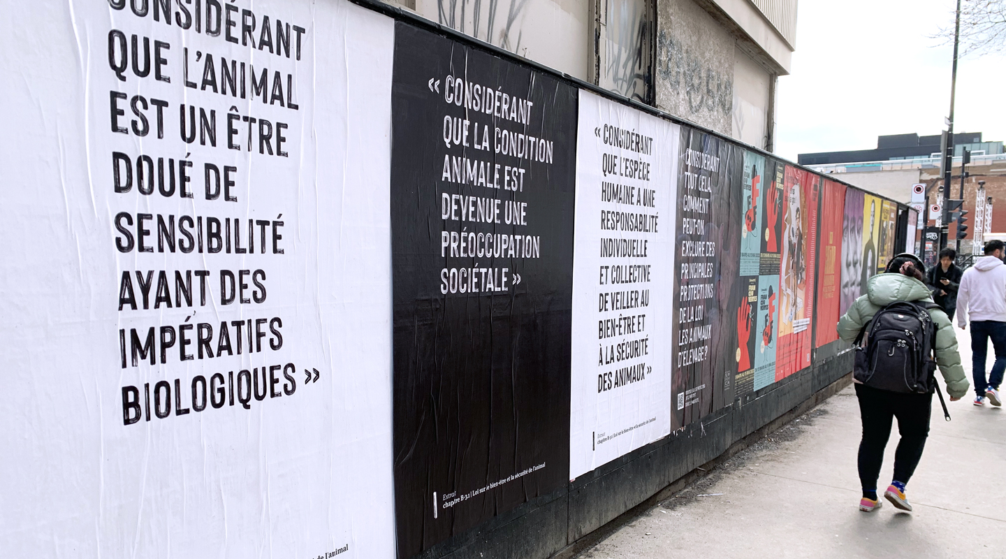 La SPCA Montréal lance une campagne de mobilisation signée Hula Hoop | Isarta Infos | Actualités ...